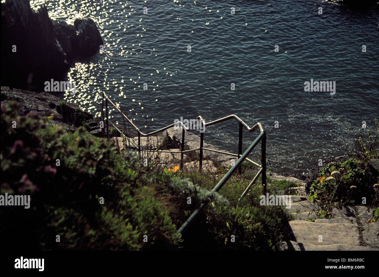 Devon, England, United Kingdom; Rough Stone Steps Leading Down To The ...