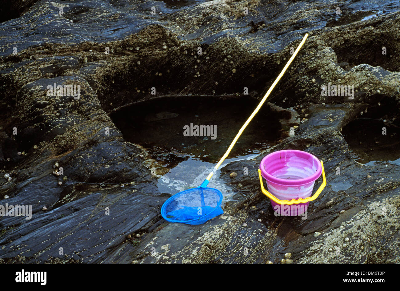Cornwall, England, United Kingdom; Bucket And Net Beside A Rockpool ...