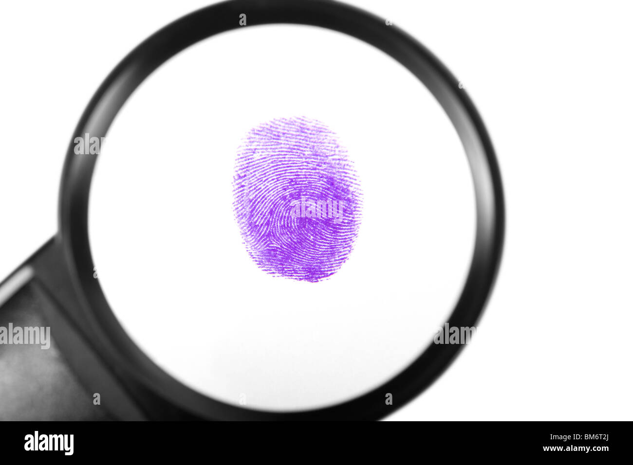 Fingerprint viewed through a magnifying glass Stock Photo - Alamy