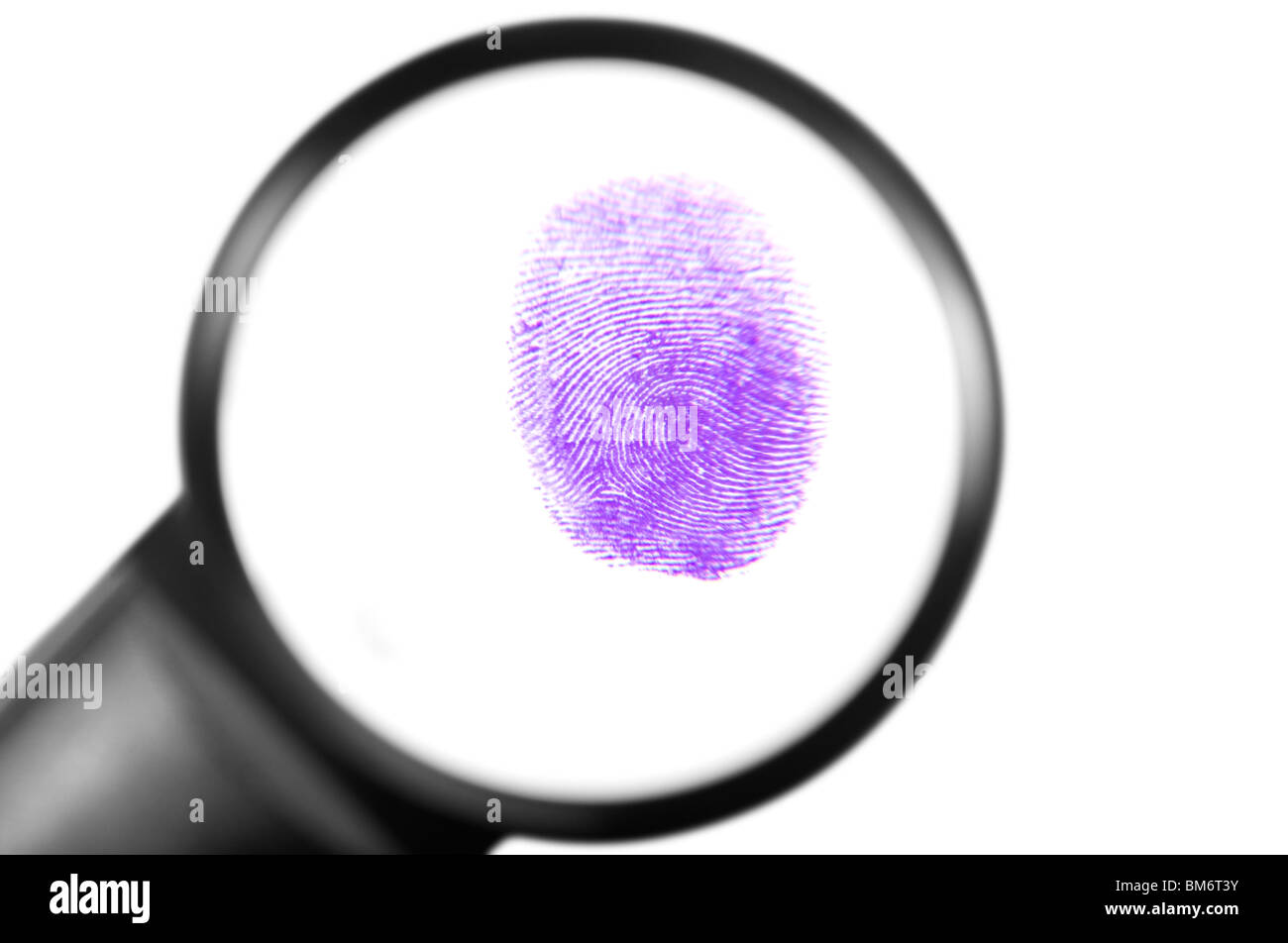 Fingerprint viewed through a magnifying glass Stock Photo - Alamy
