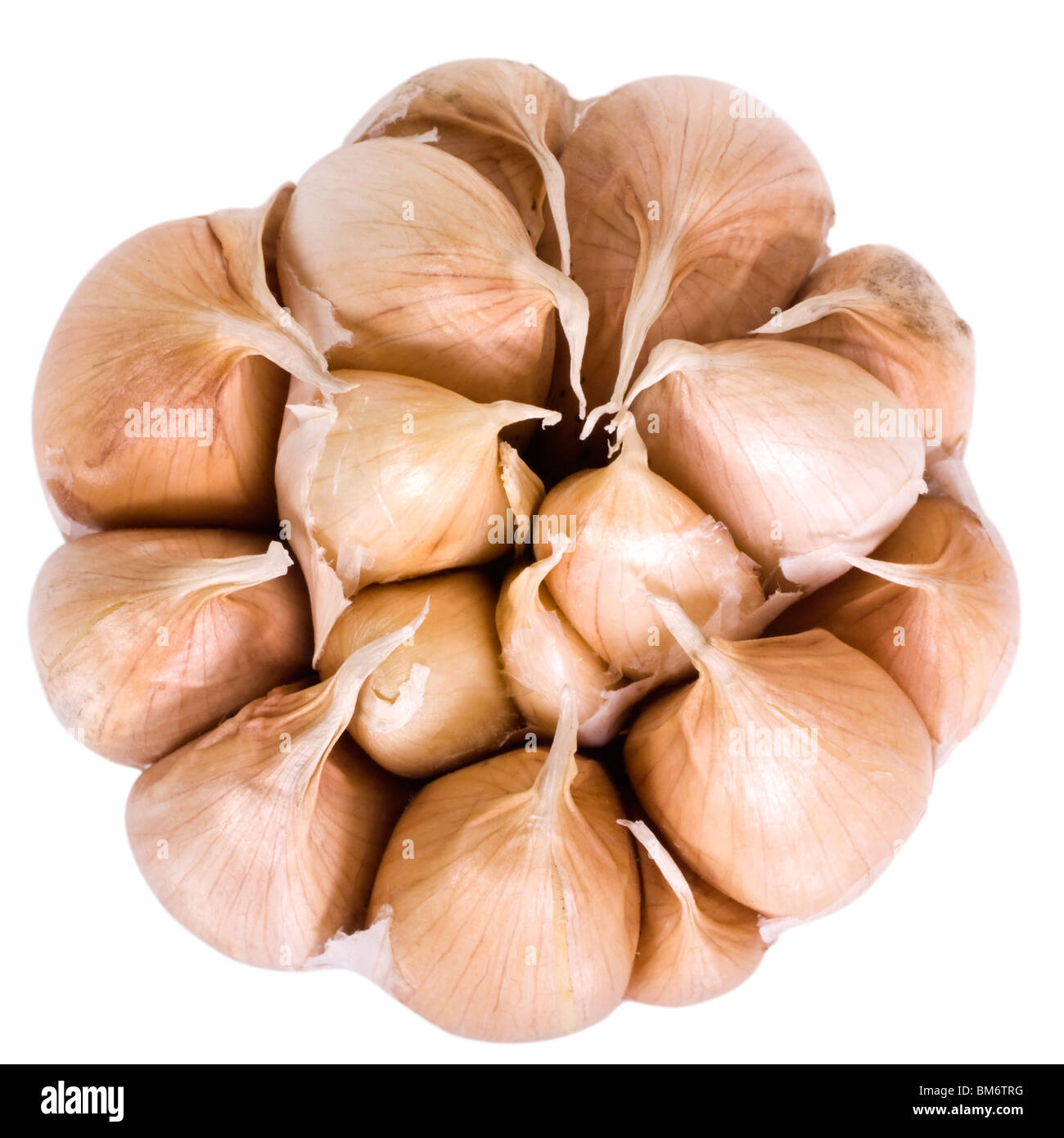 Garlic blub hi-res stock photography and images - Alamy