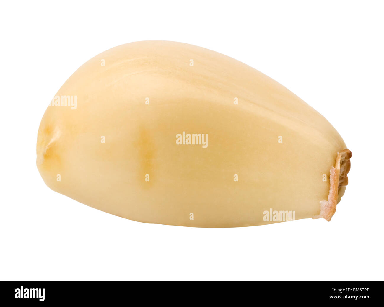 Single pod garlic hi-res stock photography and images - Alamy