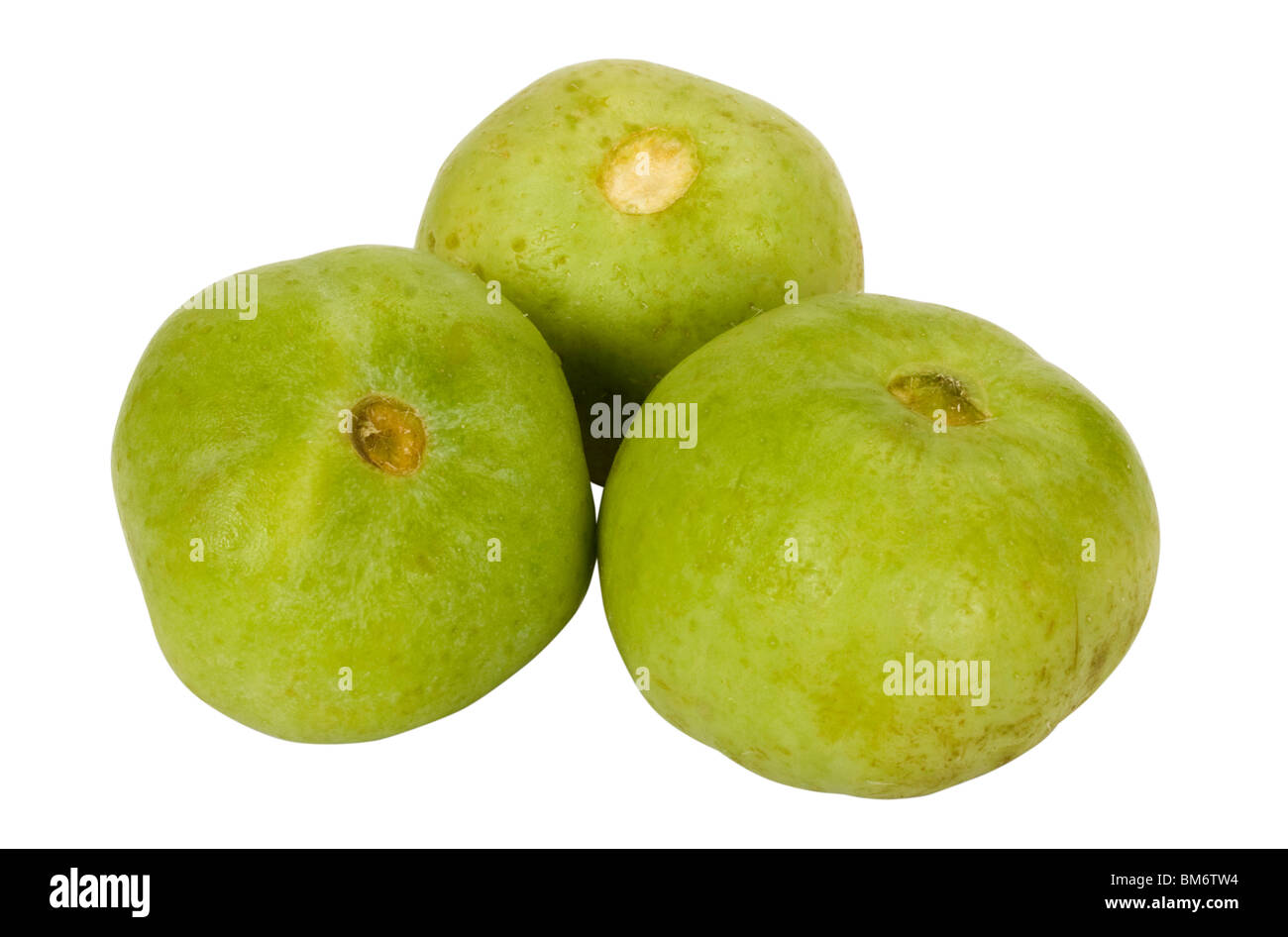 Tinda hi-res stock photography and images - Alamy