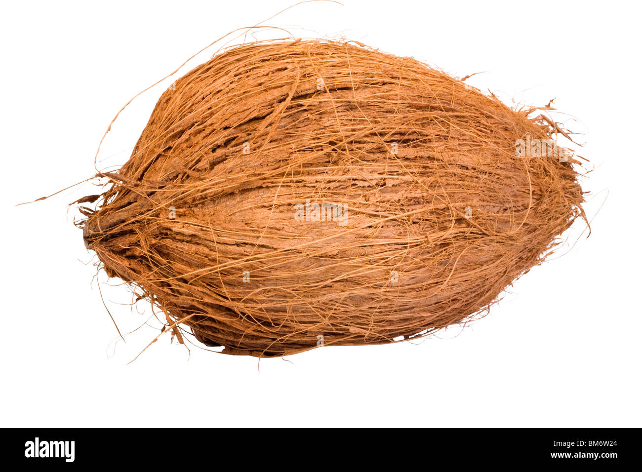 Close-up of a coconut Stock Photo - Alamy