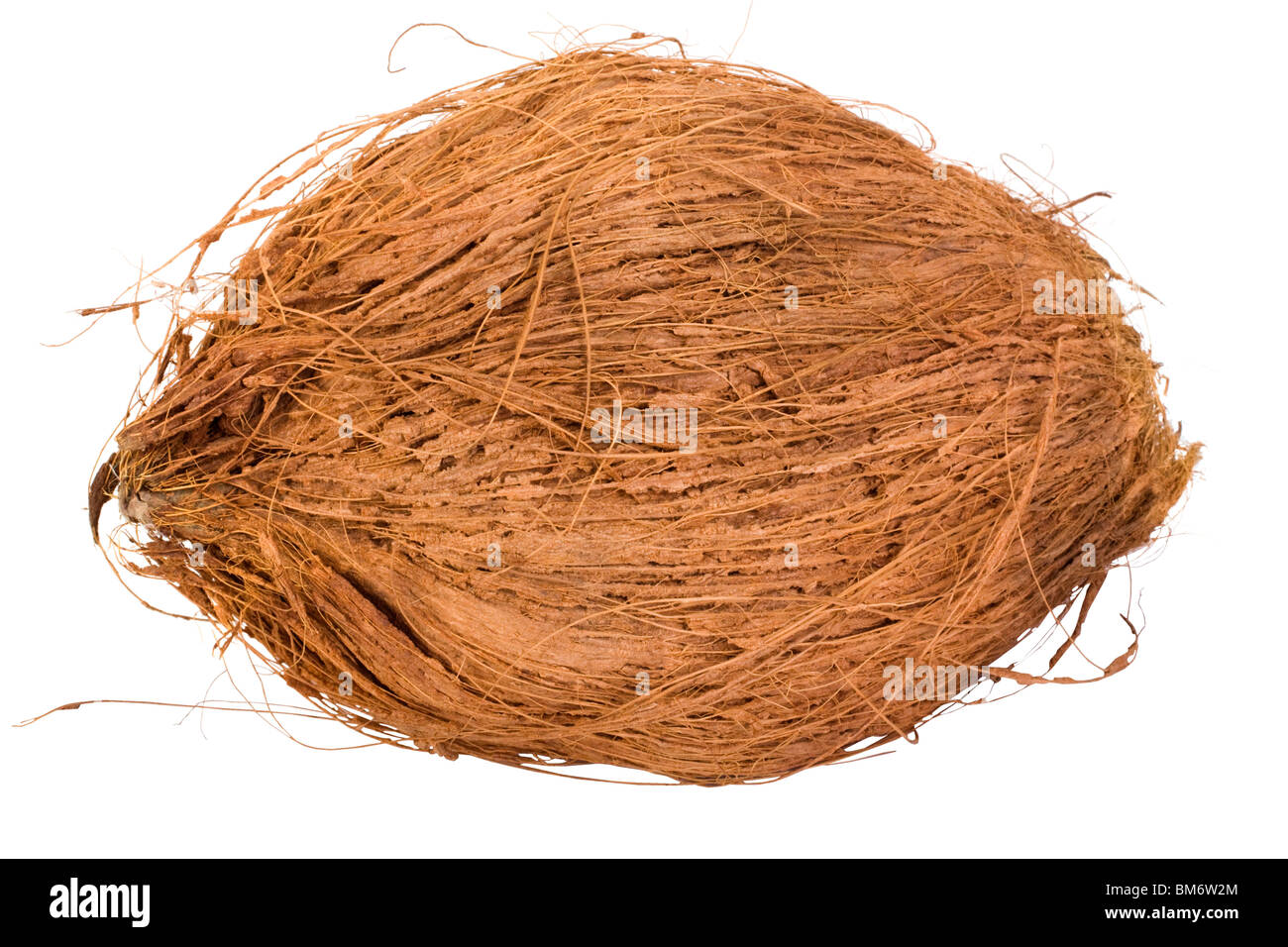 Coconut single image hi-res stock photography and images - Alamy