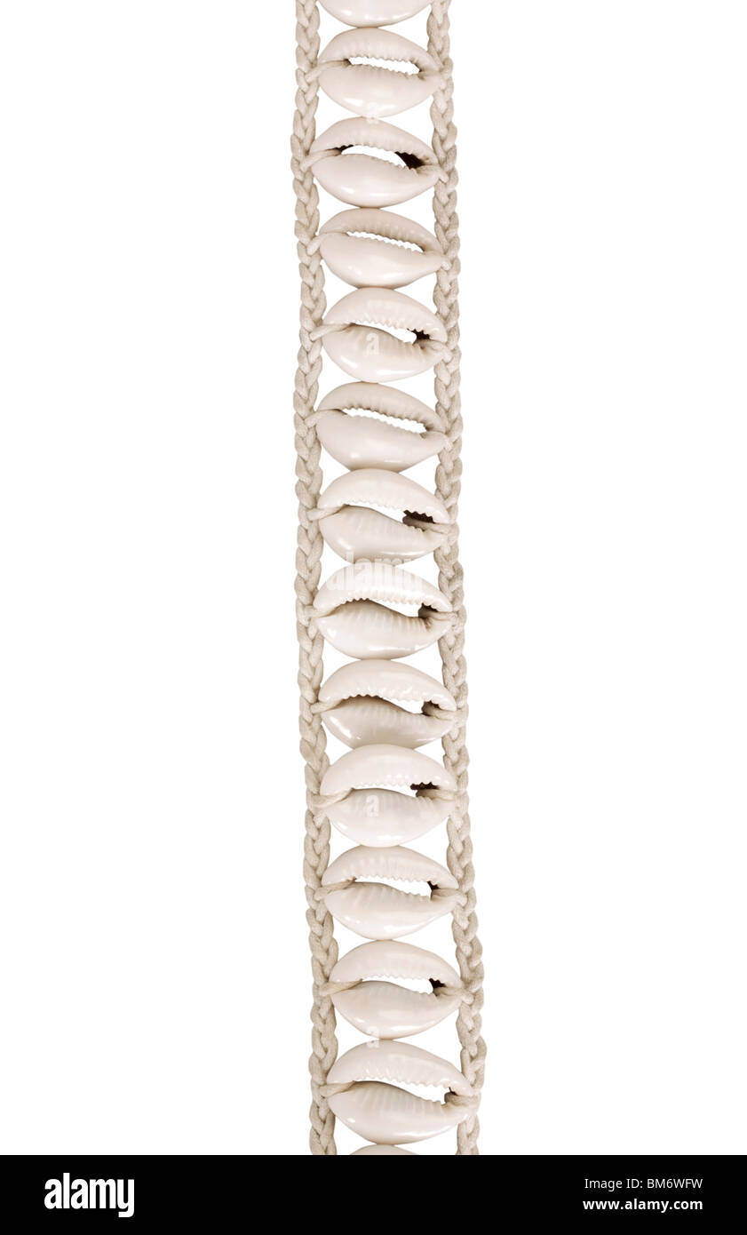 Decorative shells in a row Stock Photo - Alamy