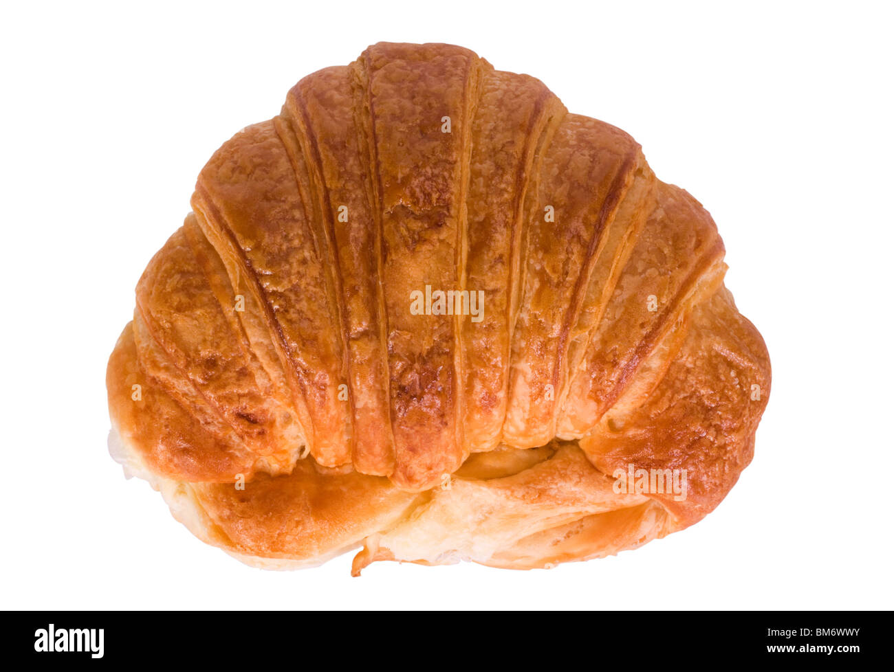 Close-up of cinnamon bun Stock Photo - Alamy