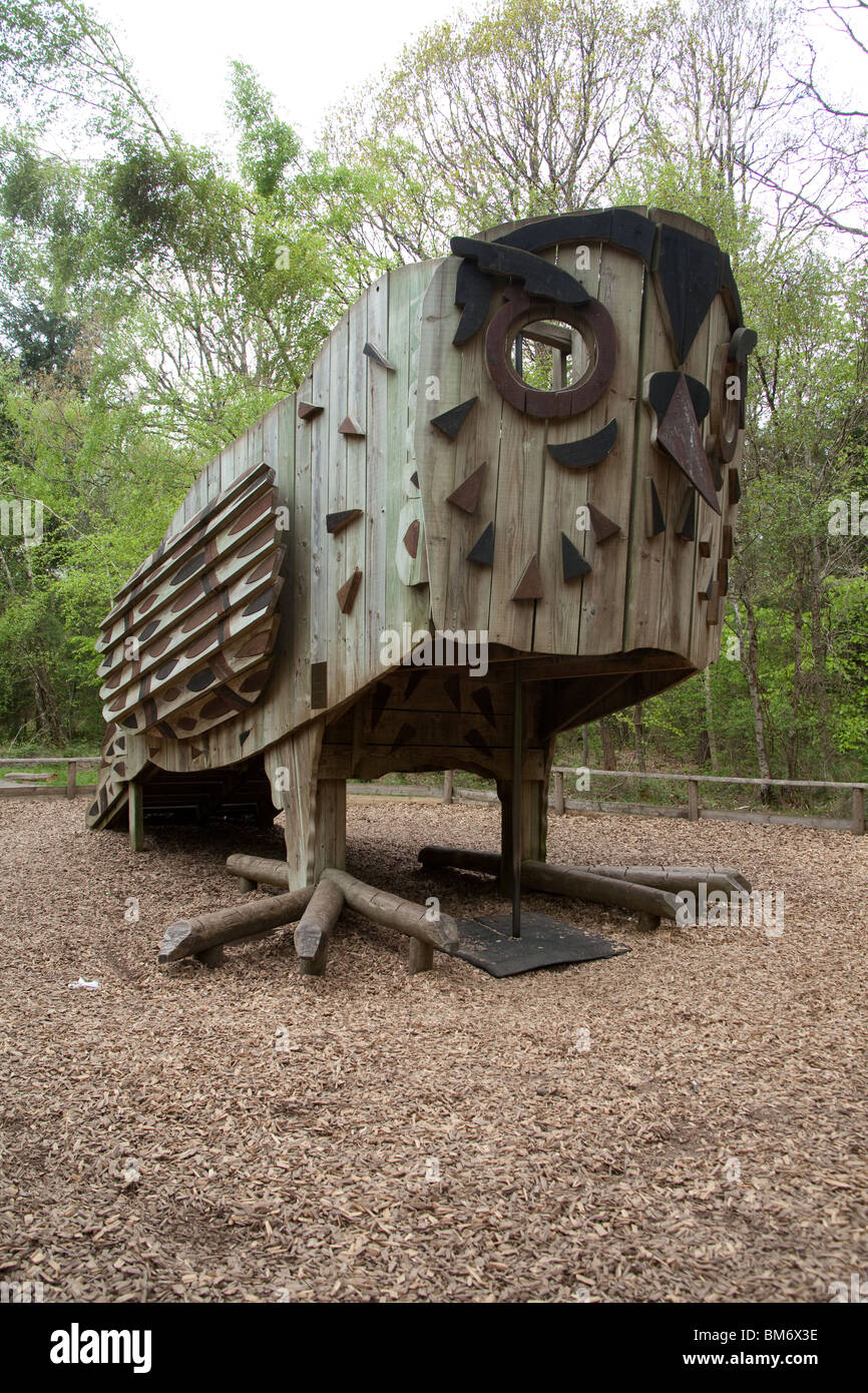 Alice holt forest hi-res stock photography and images - Alamy