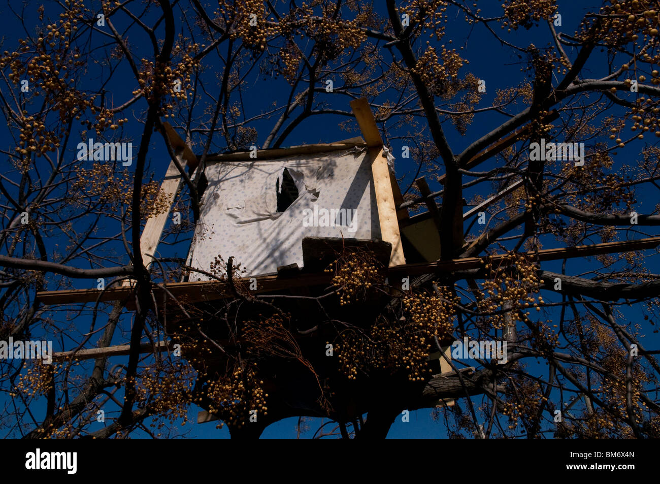 Arab hut hi-res stock photography and images - Alamy
