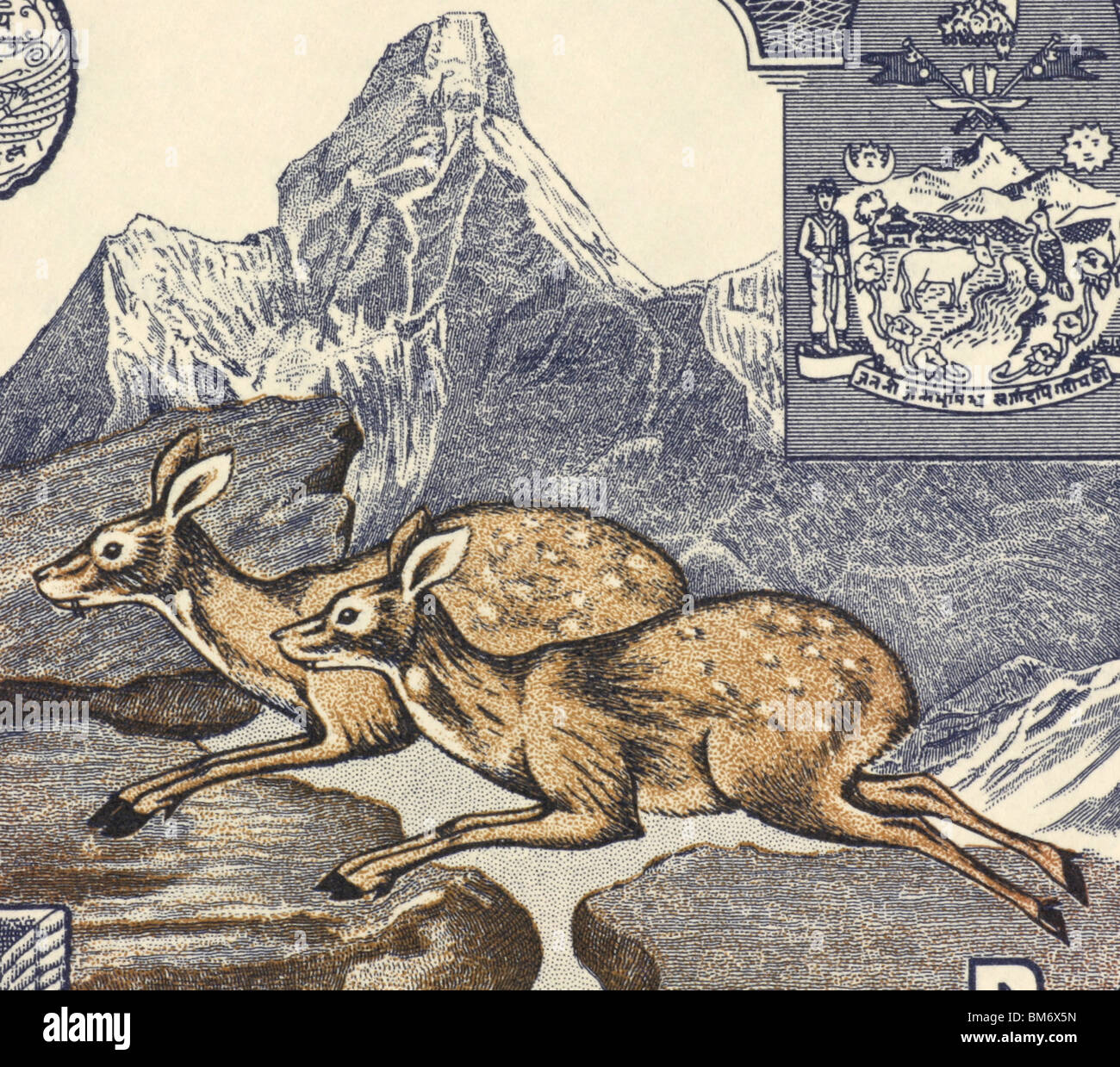 Deer on 1 Rupee 1974 Banknote from Nepal Stock Photo - Alamy