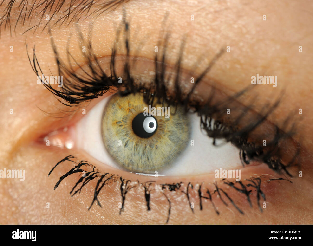 Detailed human eye hi-res stock photography and images - Alamy