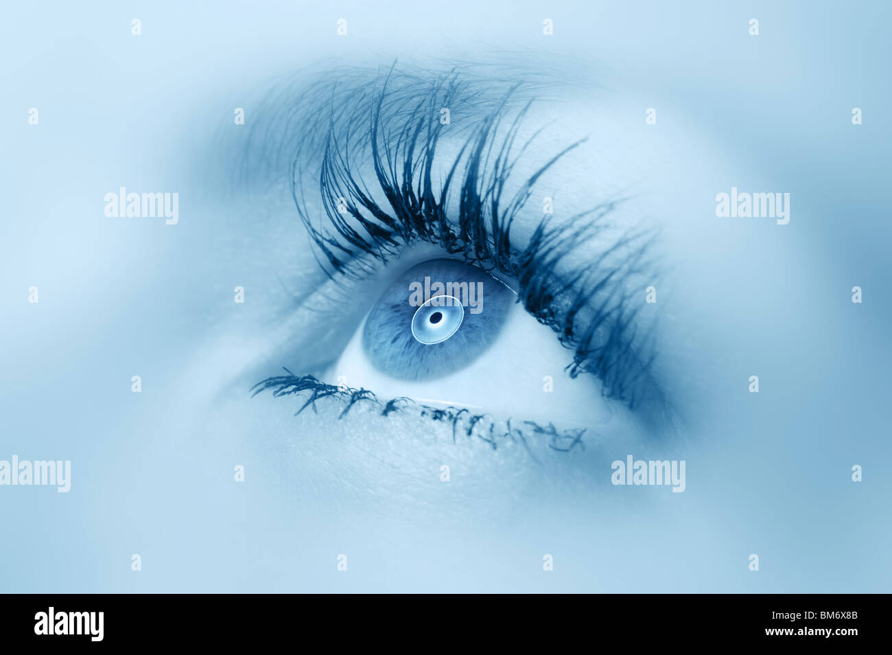 Female eye close up. A blue tonality. Selective focus Stock Photo - Alamy