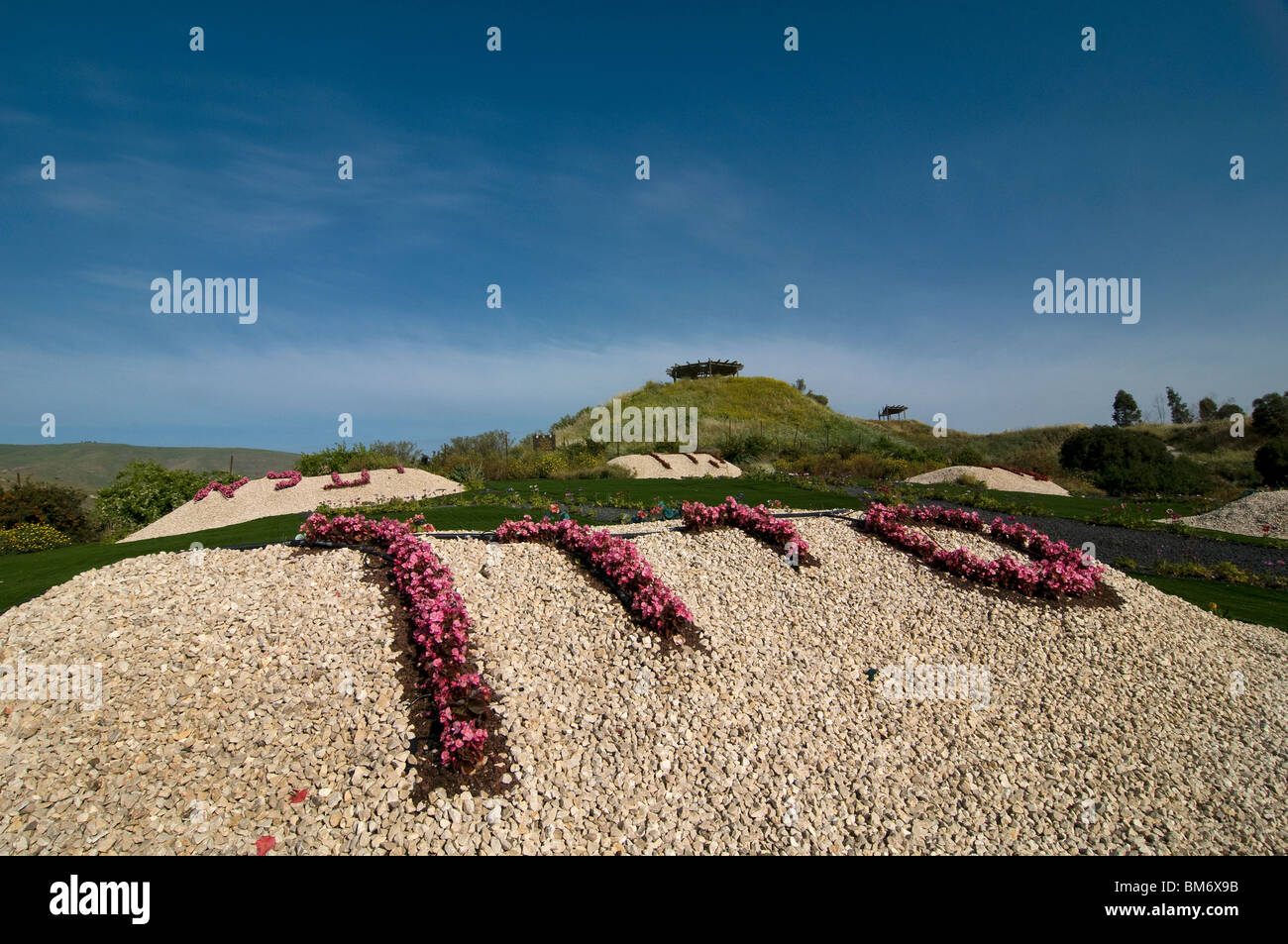 Northern jordan flowers hi-res stock photography and images - Alamy