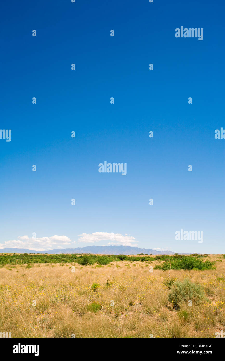 New Mexico, Usa; Desert Landscape With The Manzano Mountains In The ...