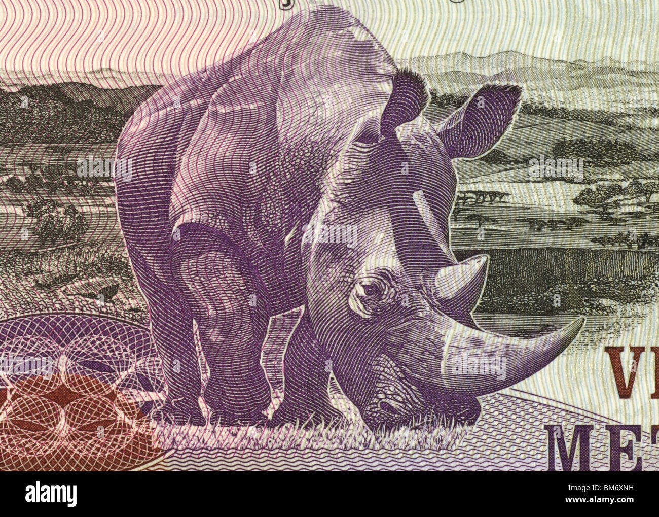 Meticais hi-res stock photography and images - Alamy