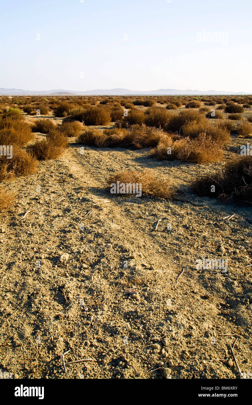 Remote desert scenery with no people hi-res stock photography and ...