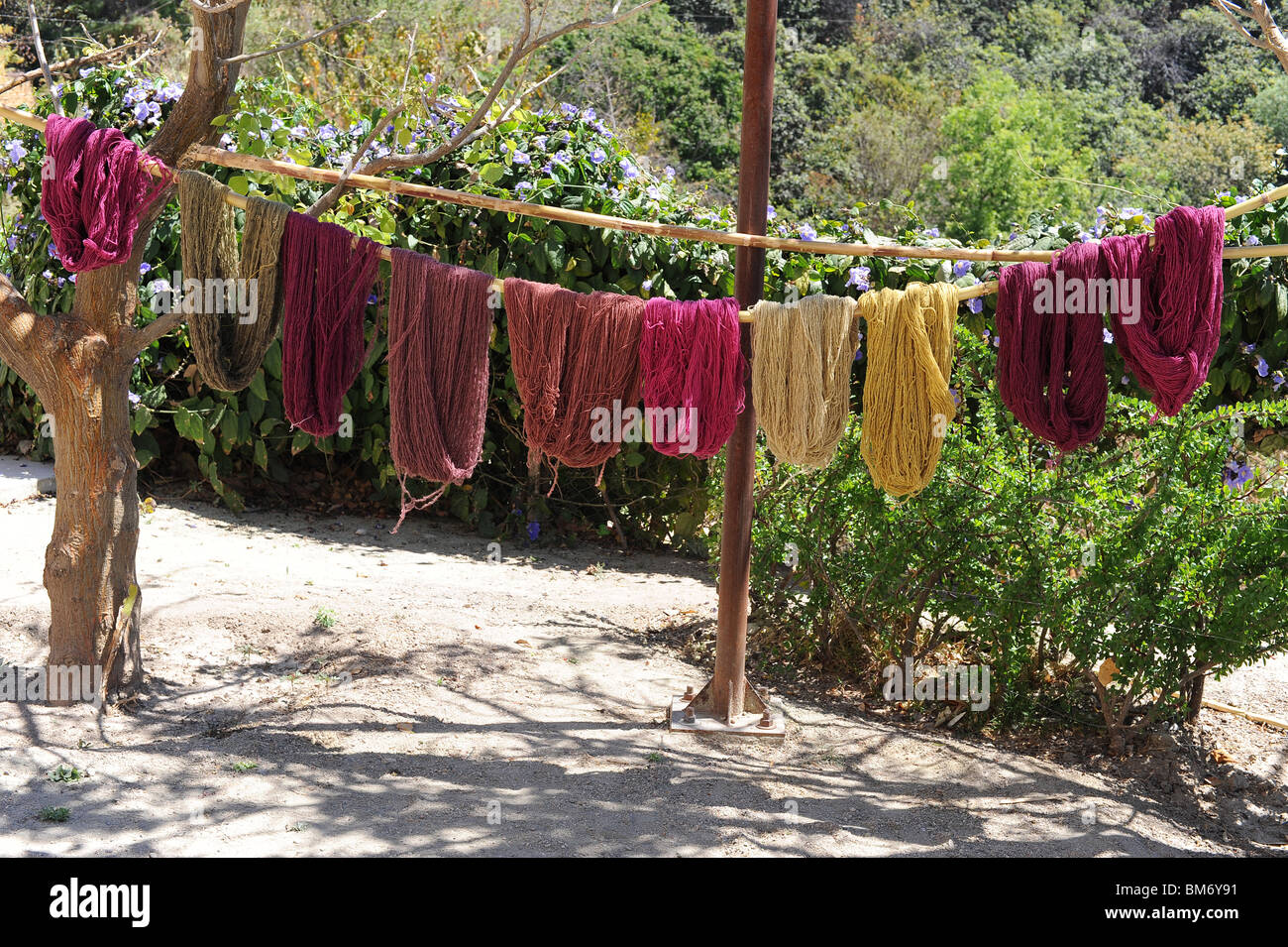 Wool hanging out hi-res stock photography and images - Alamy
