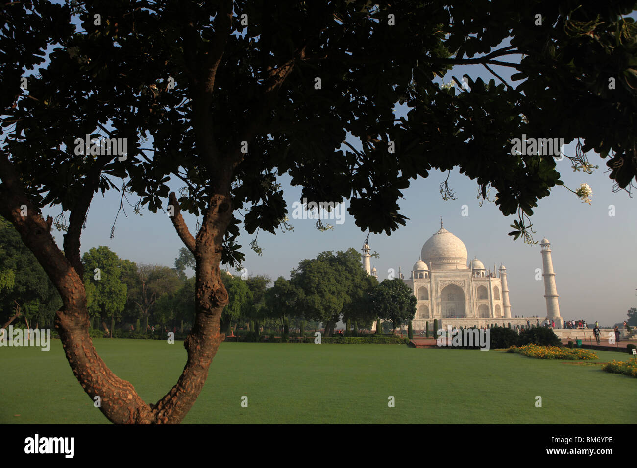 Wide view of the Taj Mahal mausoleum in Agra, India Stock Photo - Alamy