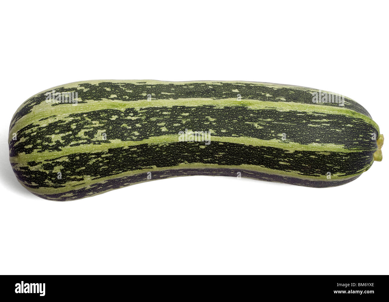 Marrow on white background Stock Photo - Alamy