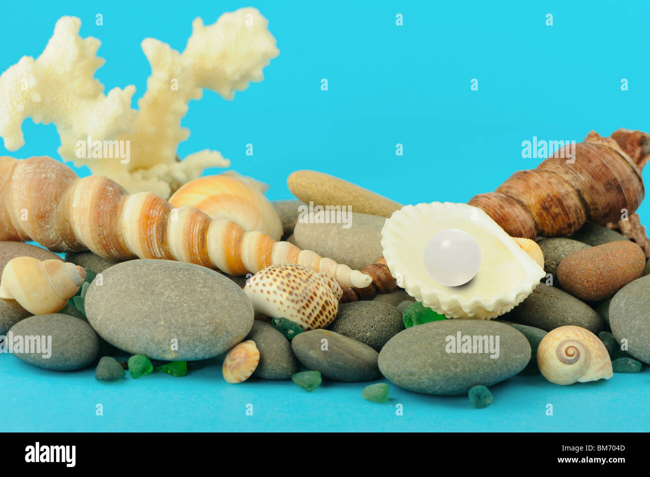 Pearl in open sea shell hi-res stock photography and images - Alamy