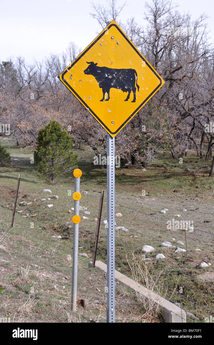"Cow crossing" road sign, New Mexico, USA Stock Photo - Alamy