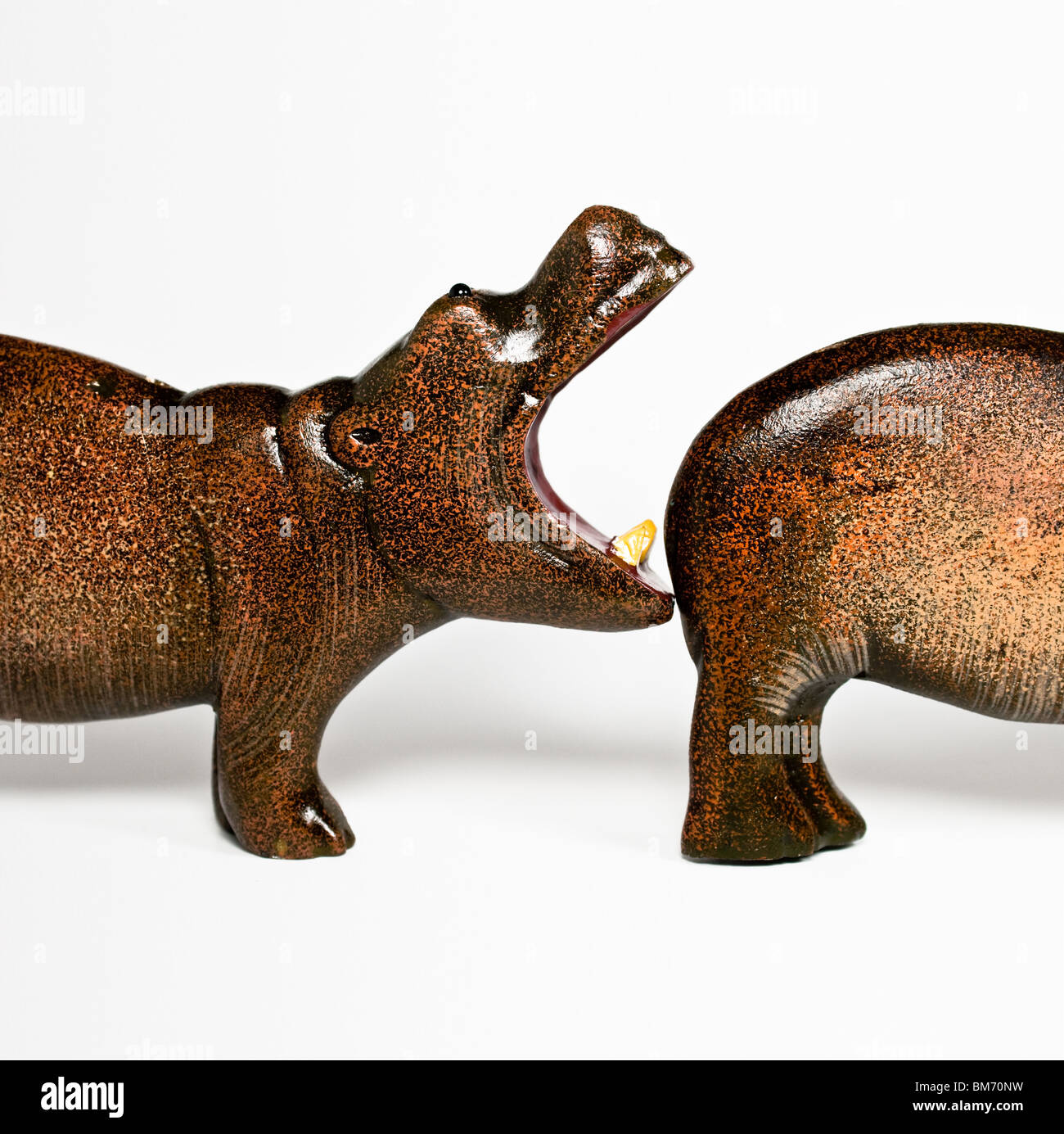 Hippo Bite Is It Cake? Would You Take A Bite Of Viral Baby Pygmy Hippo