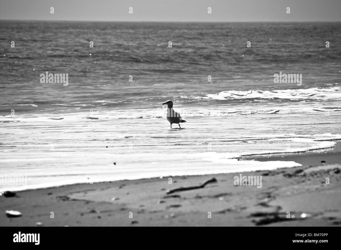 Rockway beach hi-res stock photography and images - Alamy