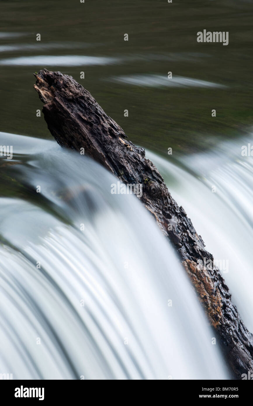 Piece of wood in waterfall Stock Photo - Alamy