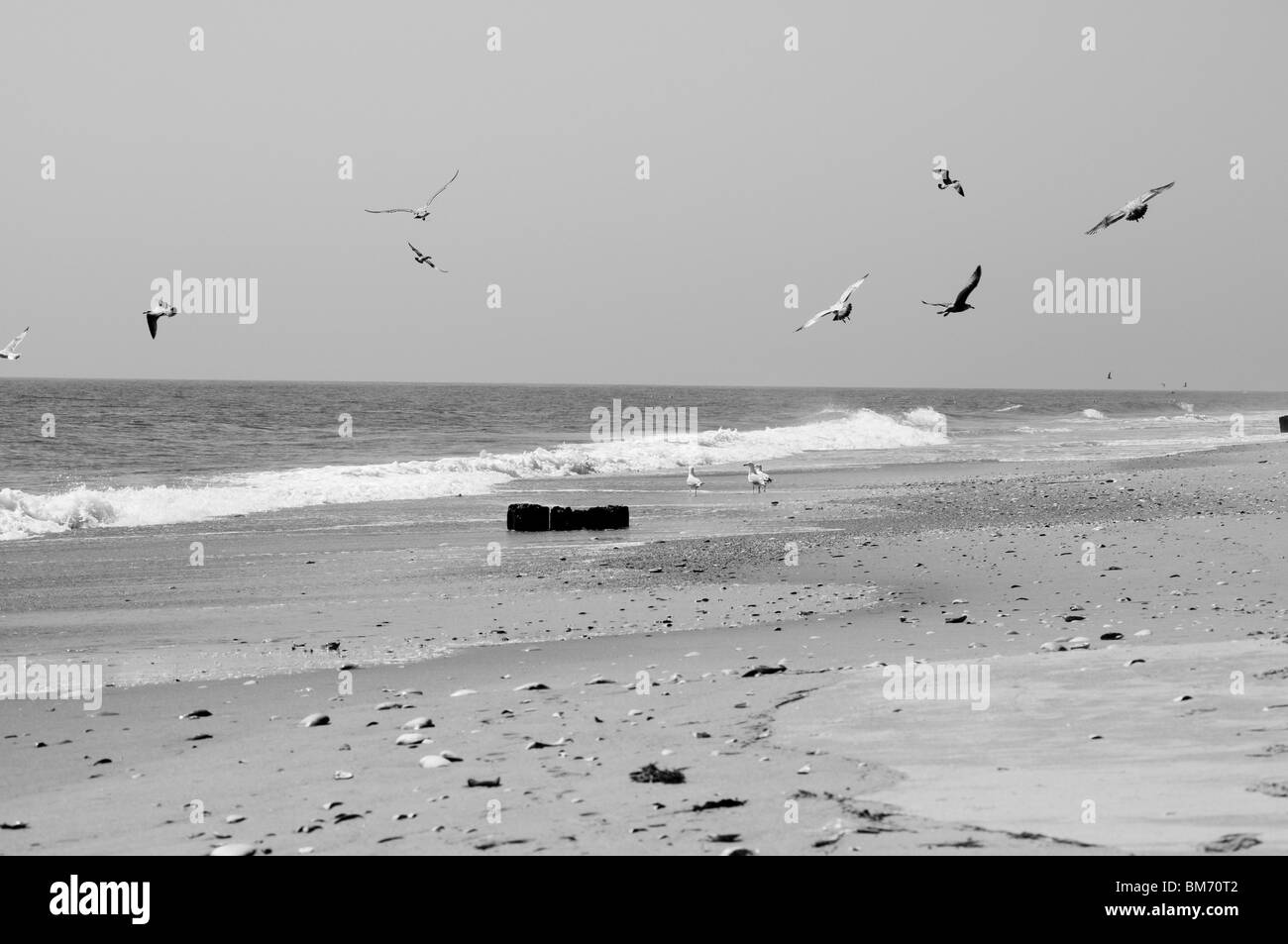 Rockway beach hi-res stock photography and images - Alamy