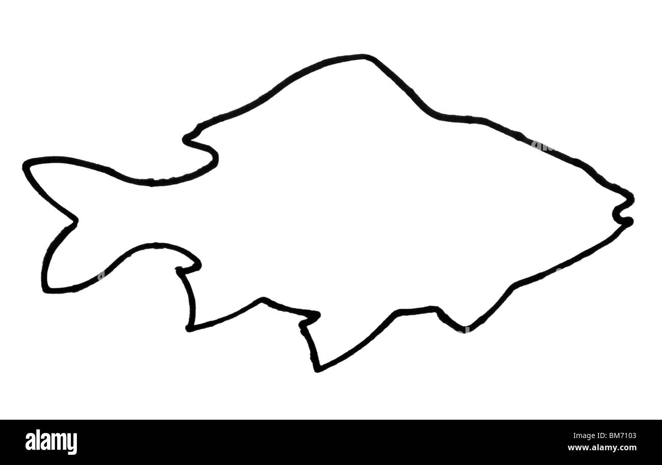 Fish cut out white Black and White Stock Photos & Images - Alamy