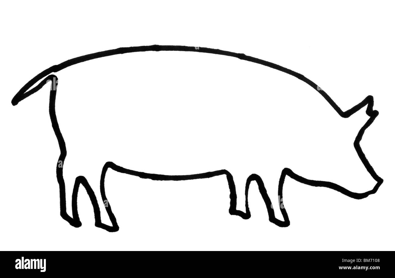 Outline of a pig Stock Photo - Alamy