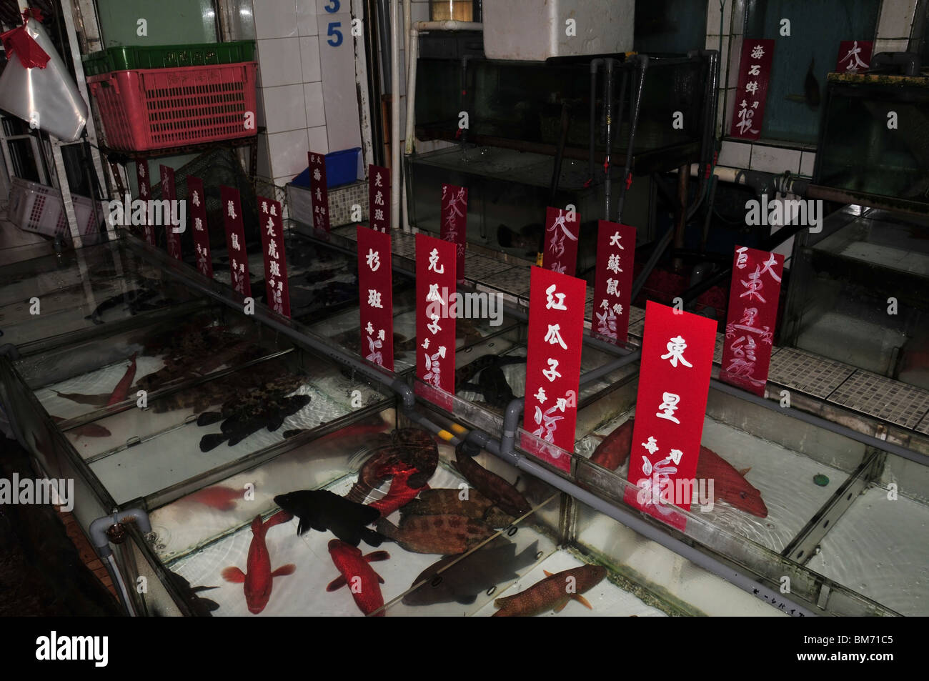 Shop 1 small mosaic floor hi-res stock photography and images - Alamy