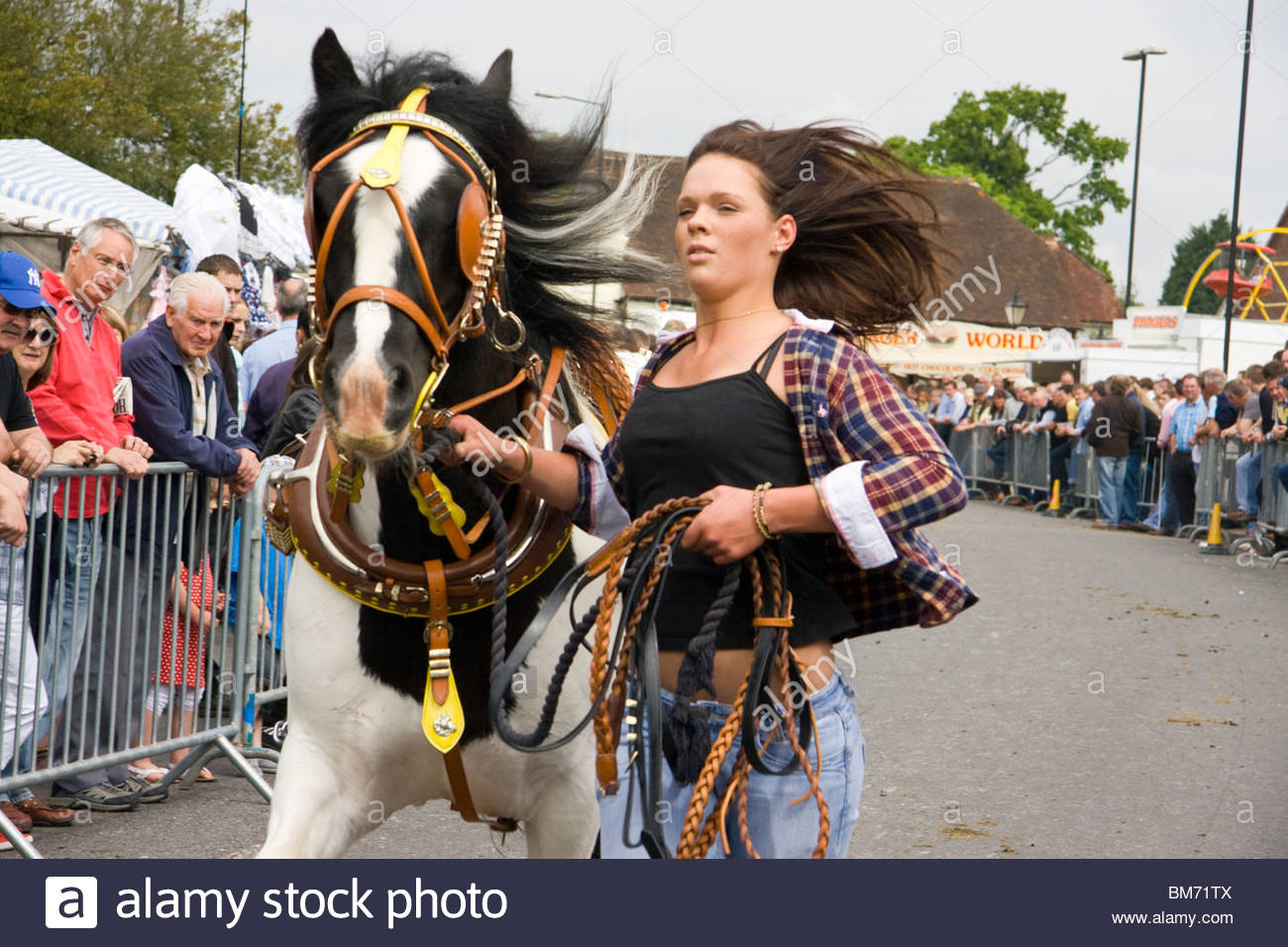 Wickham Horse Fair Stock Photos & Wickham Horse Fair Stock Images - Alamy