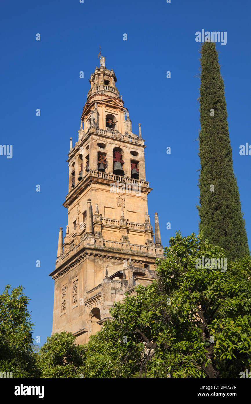Torre provincial hi-res stock photography and images - Alamy
