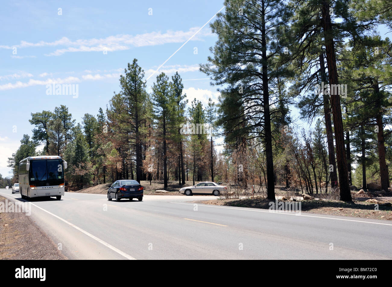 Bus, Grand Canyon National Park, Arizona, USA Stock Photo - Alamy