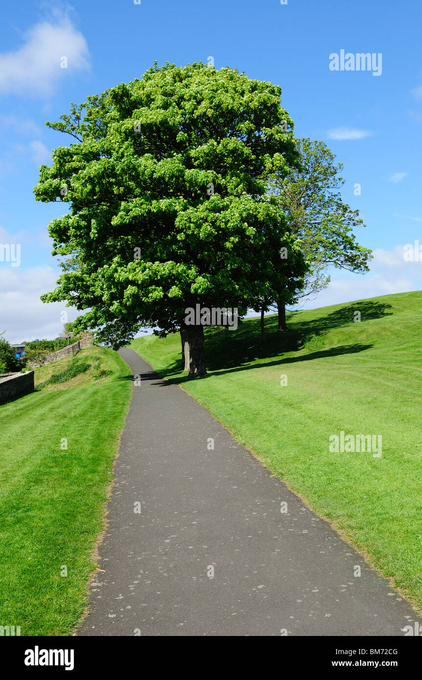 Berwick castle and ramparts hi-res stock photography and images - Alamy