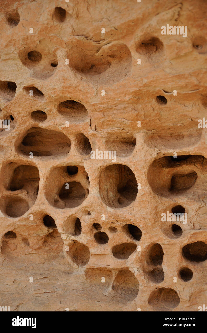 Pore stone hi-res stock photography and images - Alamy