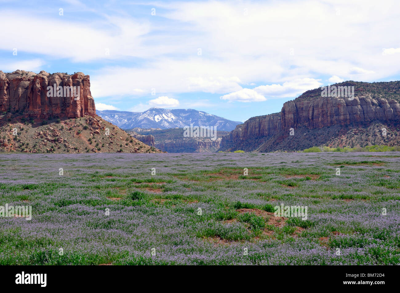Canyonland, Utah, USA Stock Photo - Alamy