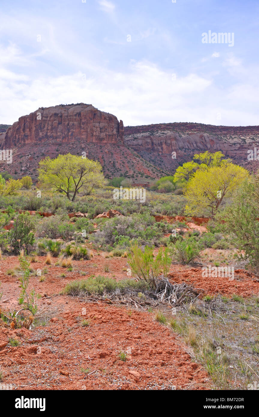 Canyonland, Utah, USA Stock Photo - Alamy