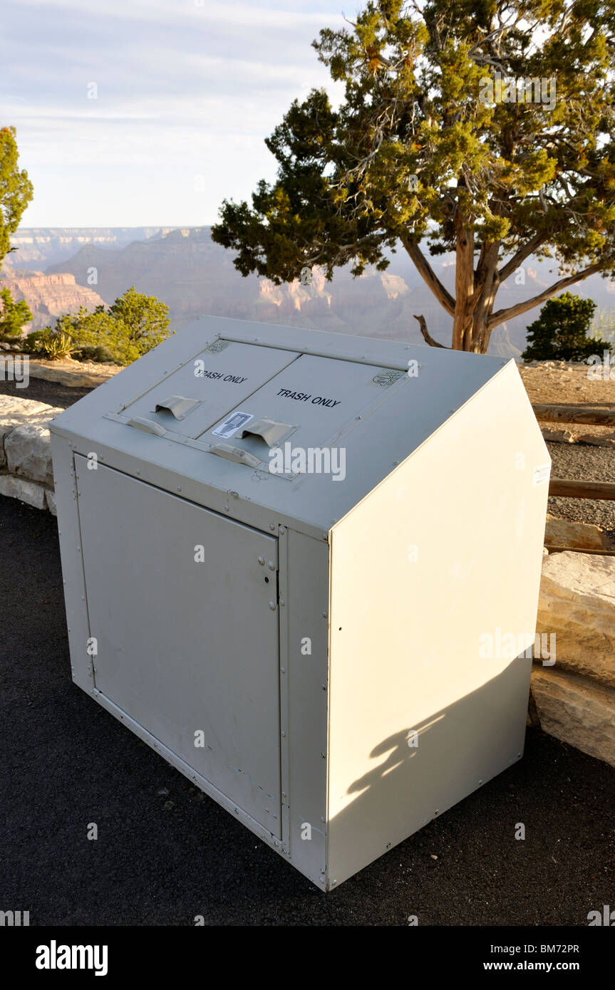 Usa garbage trash bin animal hi-res stock photography and images - Alamy