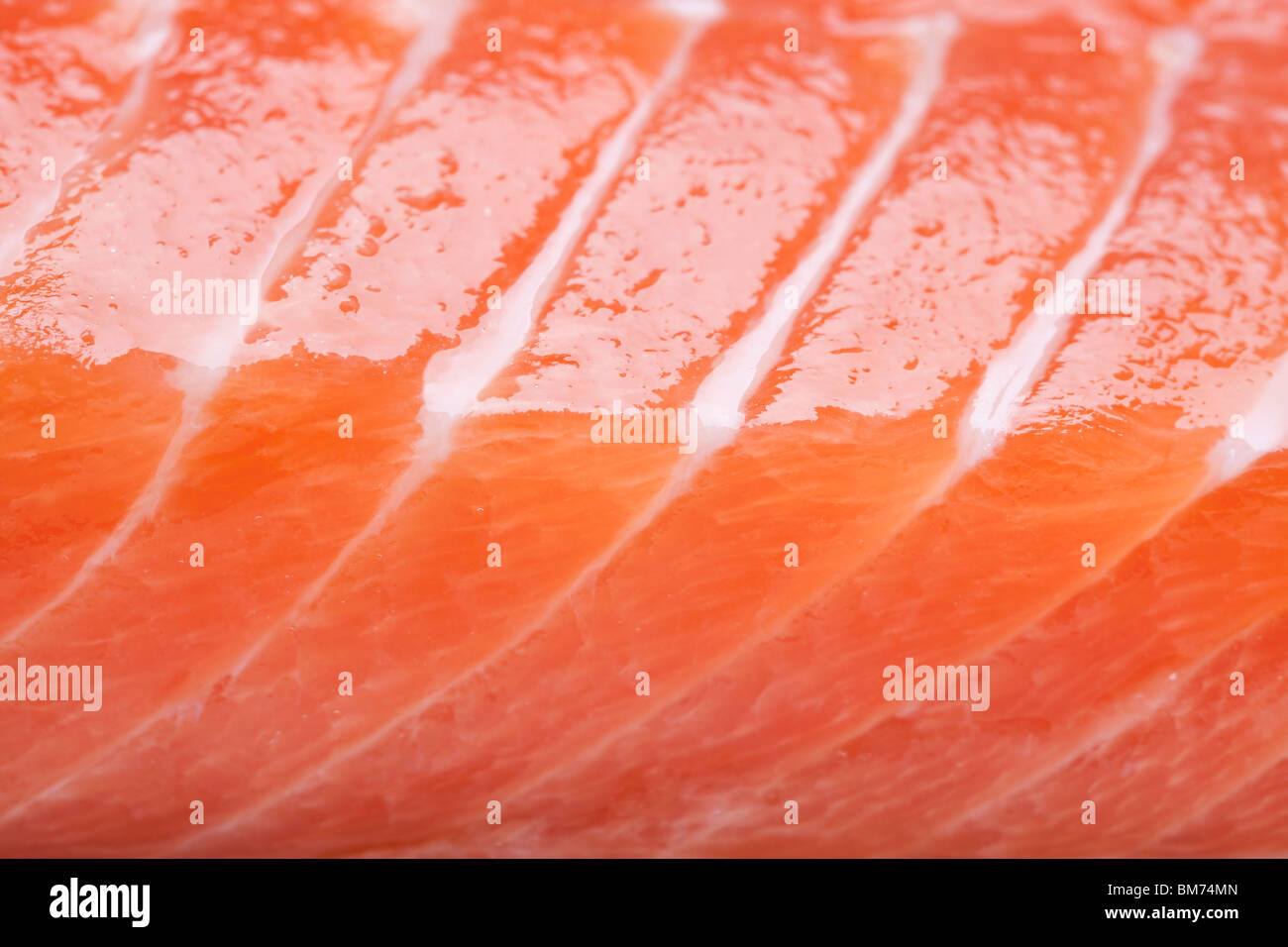 red raw salmon fish food Stock Photo - Alamy