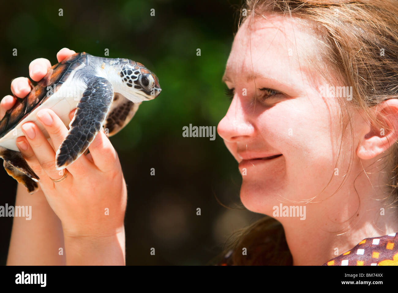 Green sea turtle baby hi-res stock photography and images - Alamy