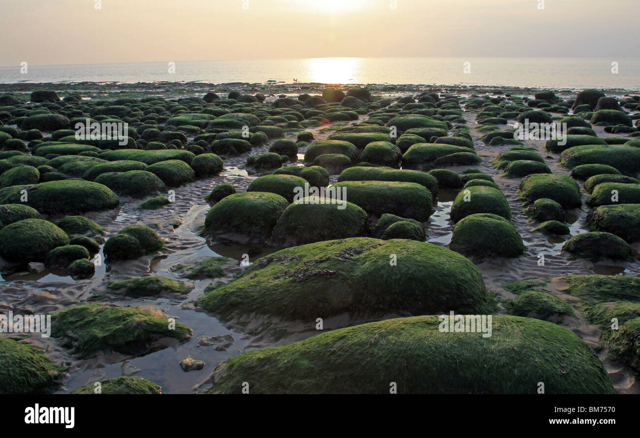 Hunstanton rocks hi-res stock photography and images - Alamy