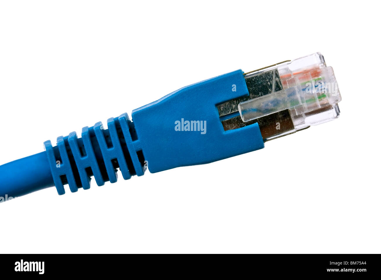 Blue network plug isolated on white background Stock Photo - Alamy
