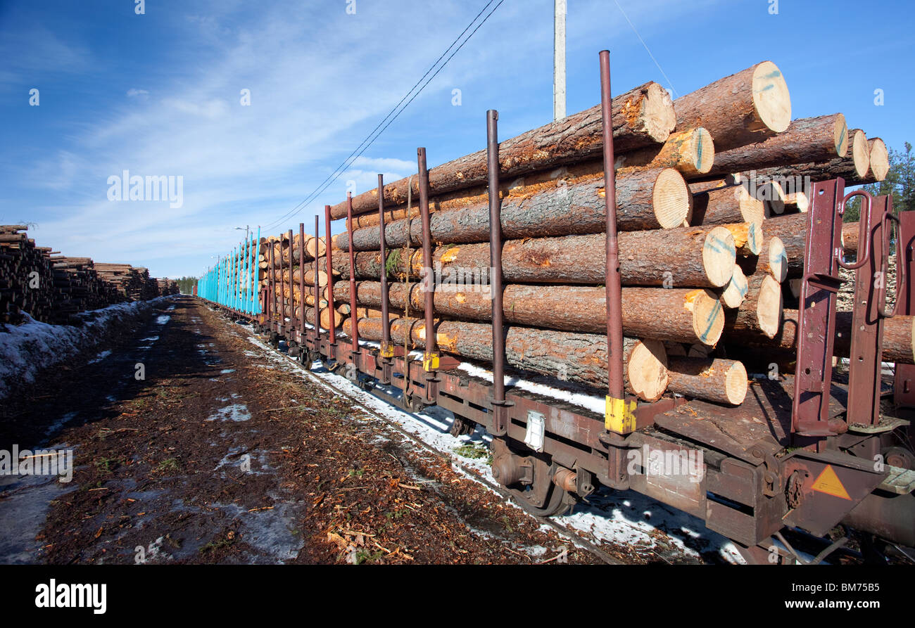 Logs Cargo High Resolution Stock Photography and Images - Alamy