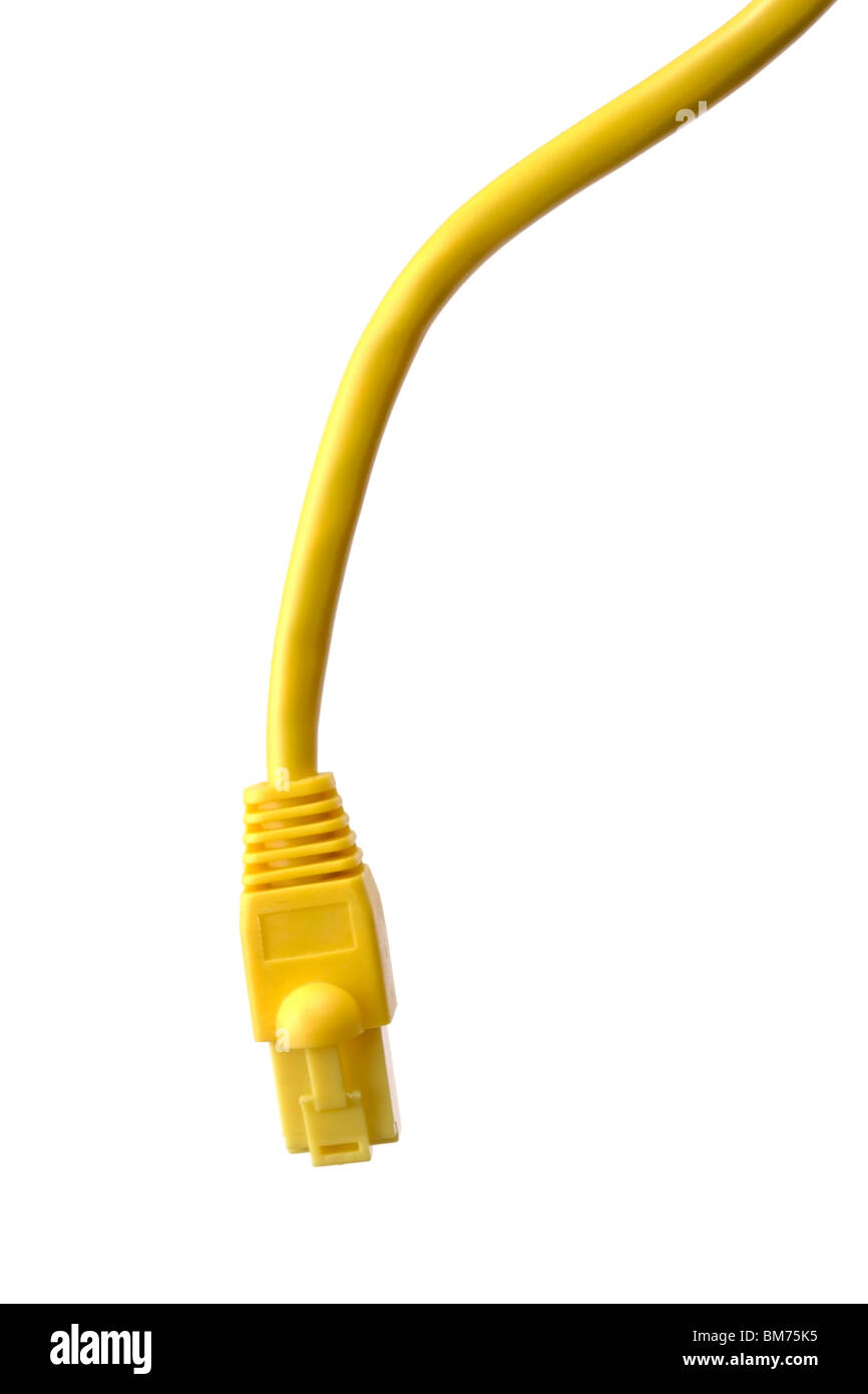 Yellow network cable isolated on white background Stock Photo - Alamy