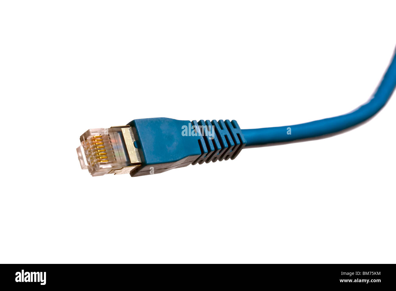 Blue network cable isolated on white background Stock Photo - Alamy