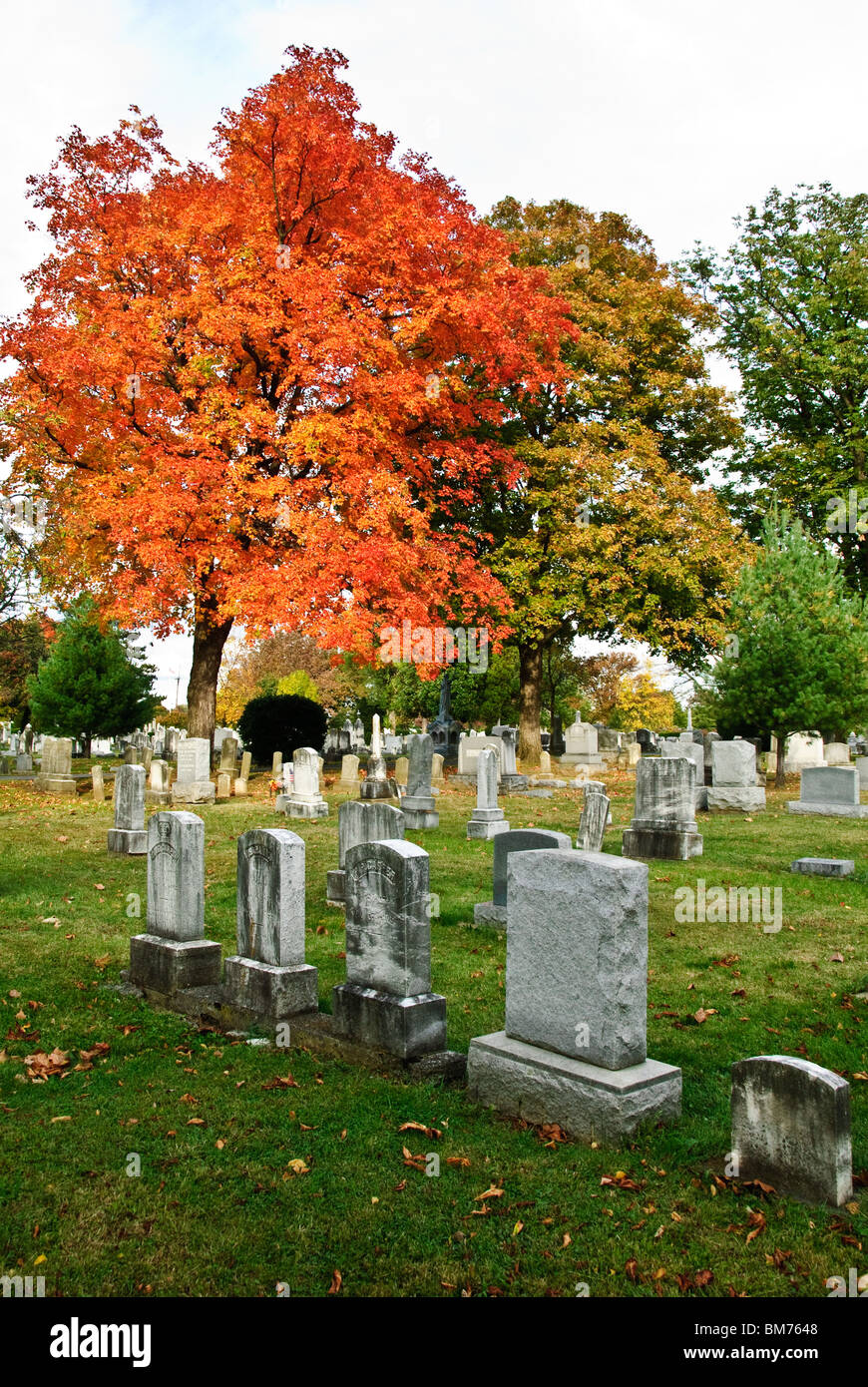 United states virginia frederick county winchester hi-res stock ...