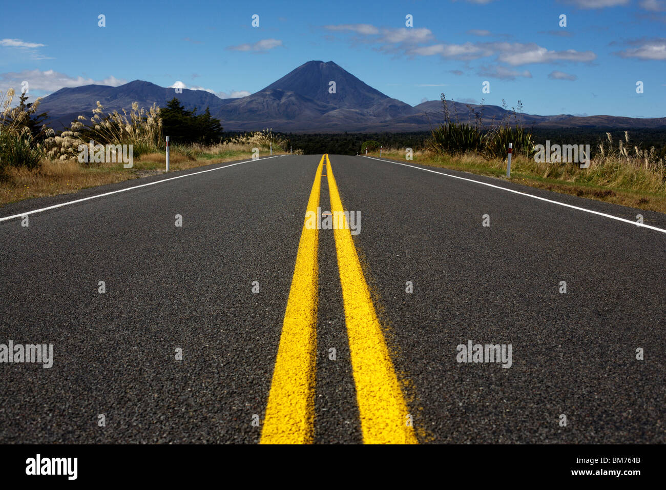 New zealand state park hi-res stock photography and images - Alamy