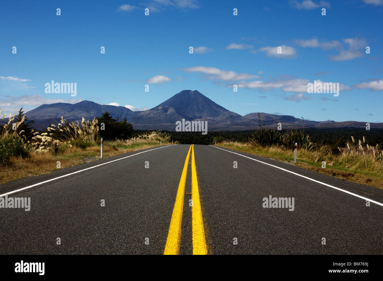 New zealand state park hi-res stock photography and images - Alamy